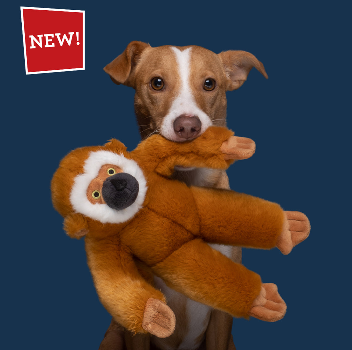 Marcel Monkey – River Dog Bakery