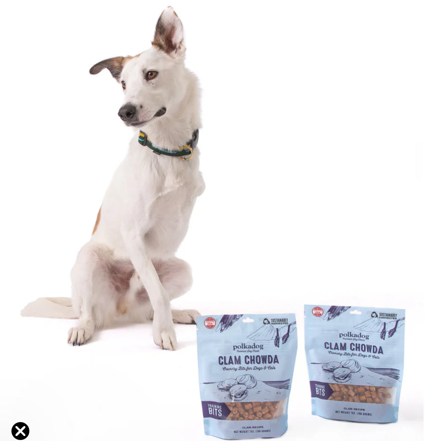 Clam Chowder Crunchy Bits – River Dog Bakery