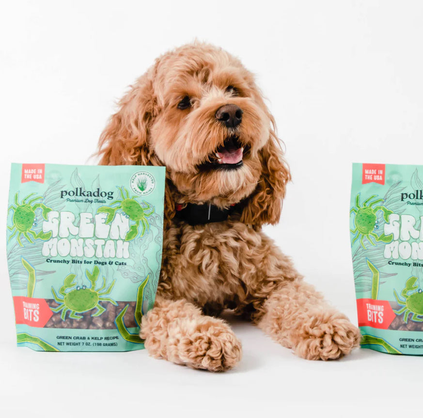 Green Monstah Crunchy Bits – River Dog Bakery