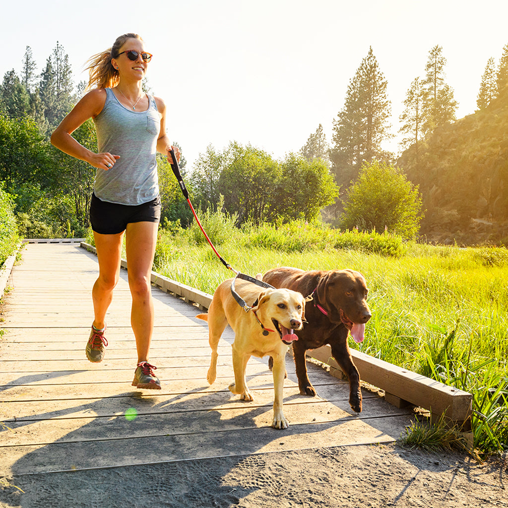 Double Track Coupler - Ruffwear – River Dog Bakery